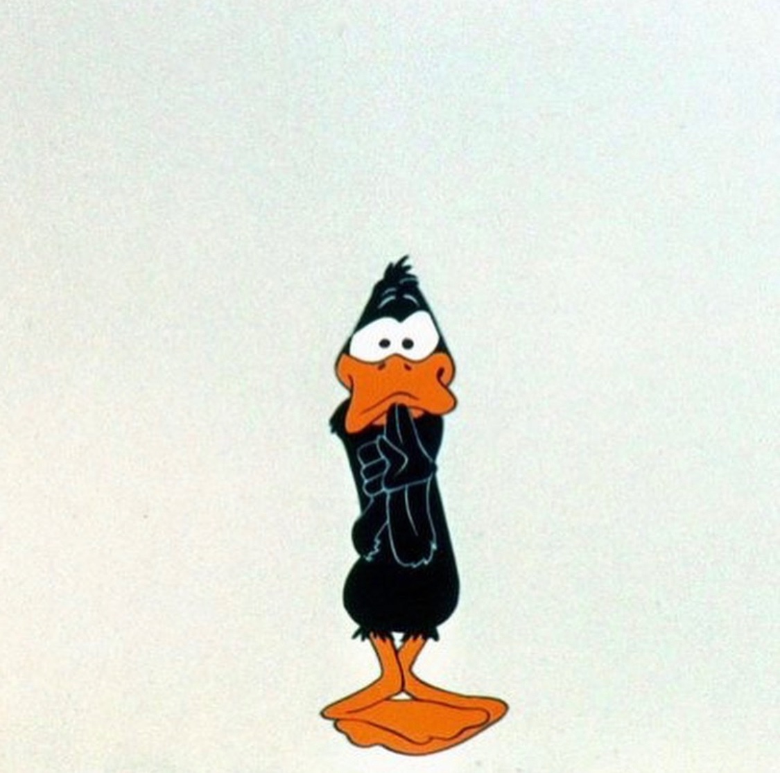 Daily Daffy Duck 🖤🦆 | READ PINNED on Twitter: Daily Daffy Duck 🖤🦆 | READ PINNED on Twitter: