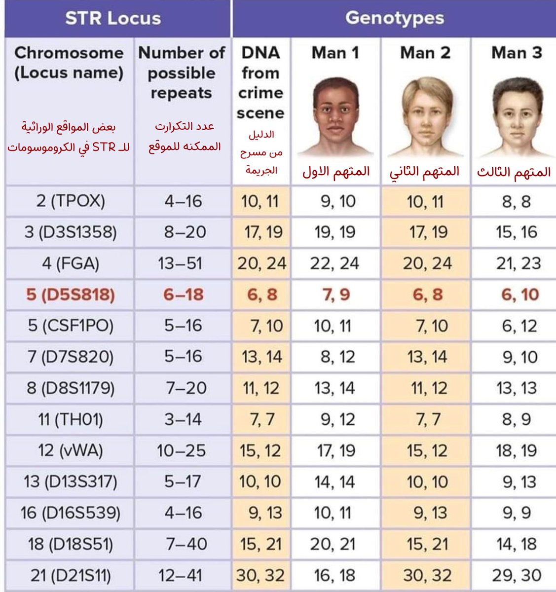 هكذا يتم حاليًا مطابقة الأنماط الوراثية 🧬 باستخدام تقنية Short Tandem ...