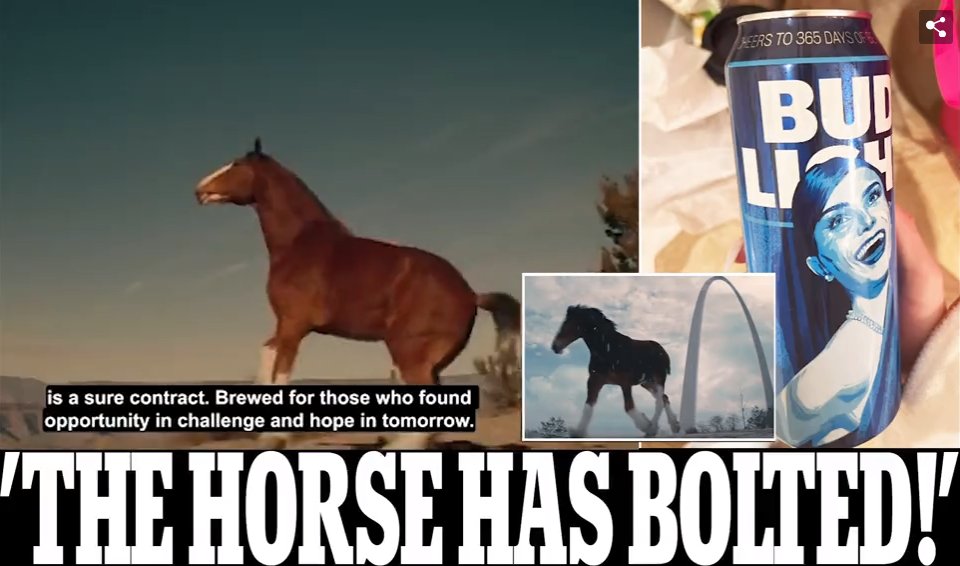 Clydesdale Budweiser Memes