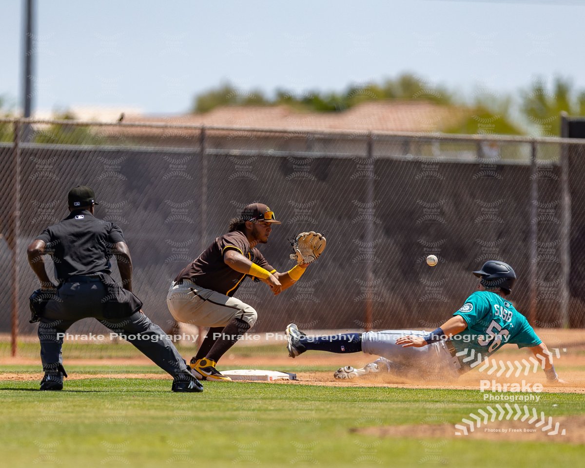Phrake Photography on Twitter: "Maikol Munoz (41) 3B San Diego Padres VZL #beisbolvenezolano # ...