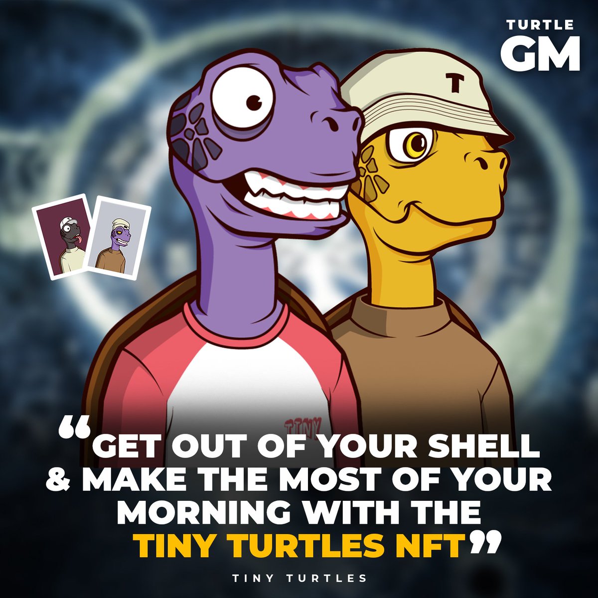 Tiny Whale 🐳 on Twitter: "Gm Gm Gm #Web3 family. Special GM to all Turtle owners. Have a blessed ...