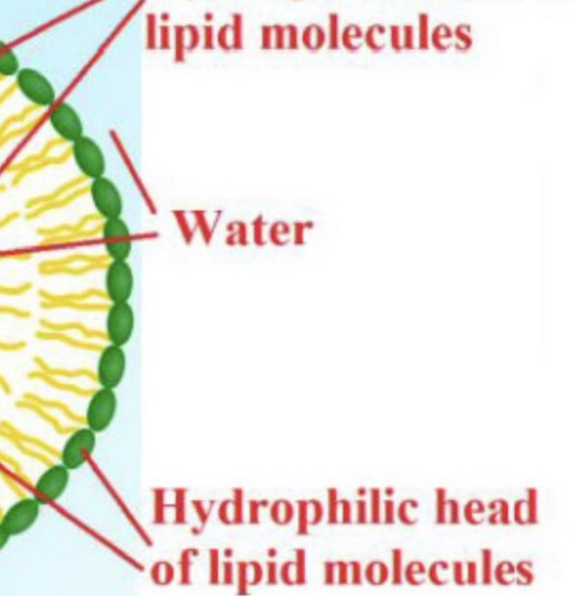 Thread by @NotTheMacAnon1 on Thread Reader App – Thread Reader App