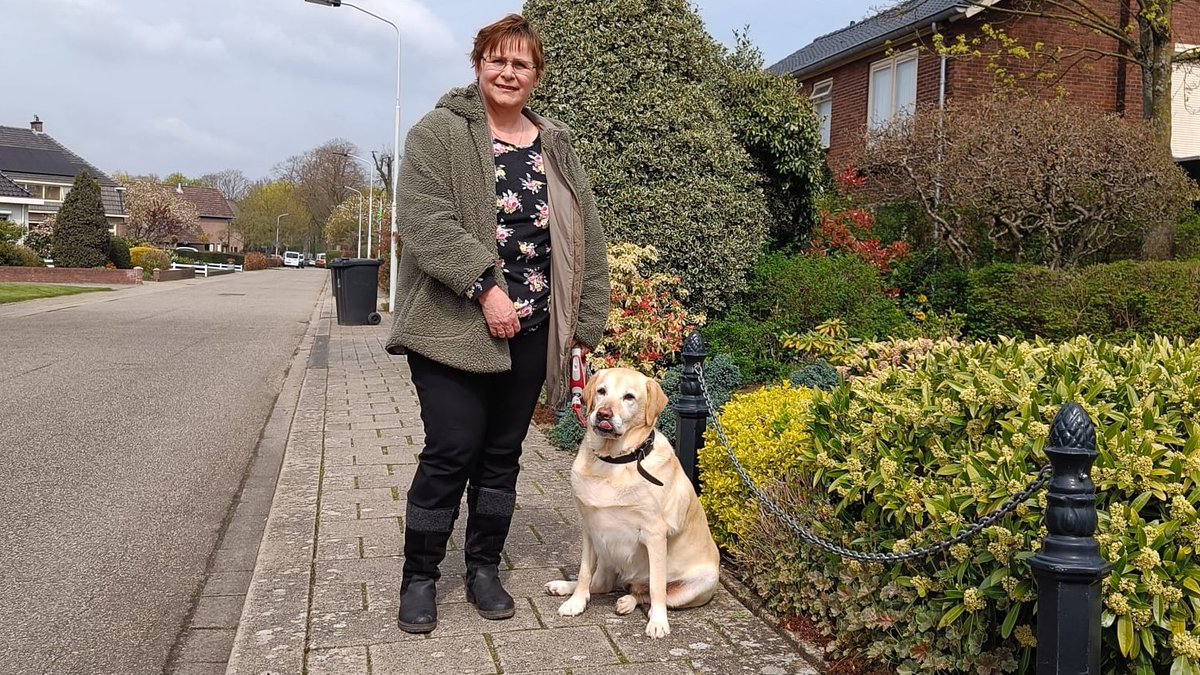 Regio8 On Twitter Video Mevrouw De Wolf De Wolff Staat Oog In Oog