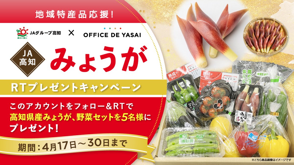 Office De Yasaiの中の人(公式) On Twitter 【jaグループ高知 × オフィスで野菜rtキャンペーン】 日本のみょうが出荷量の9割をほこる! 高知県産みょうがを含む