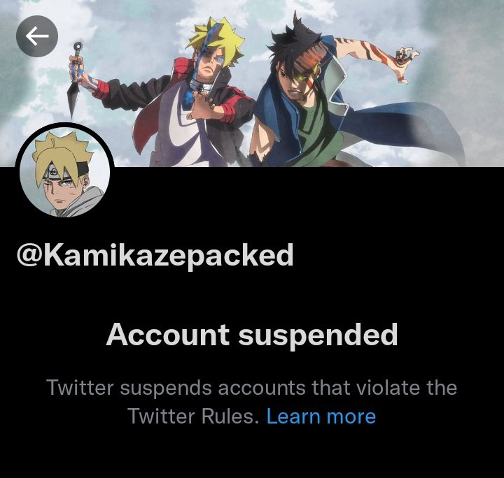 Aditya☀️ Cr Berserk On Twitter Noooooo Twitter Suspends Accounts That Violates Twitter 8130