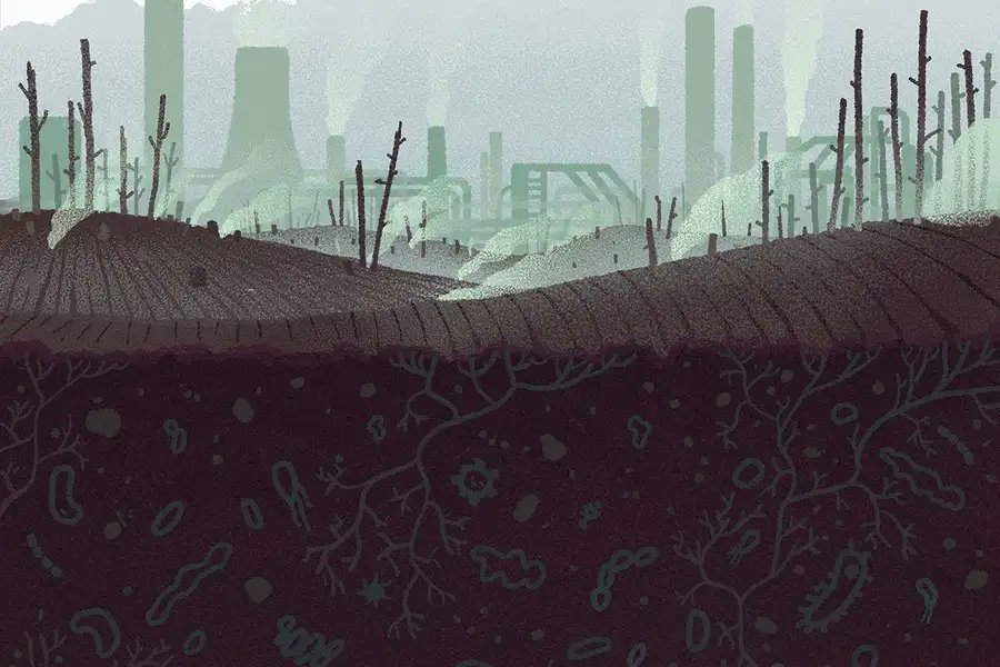 Bacteria, fungi and other microbes, which are vital to life on Earth ...