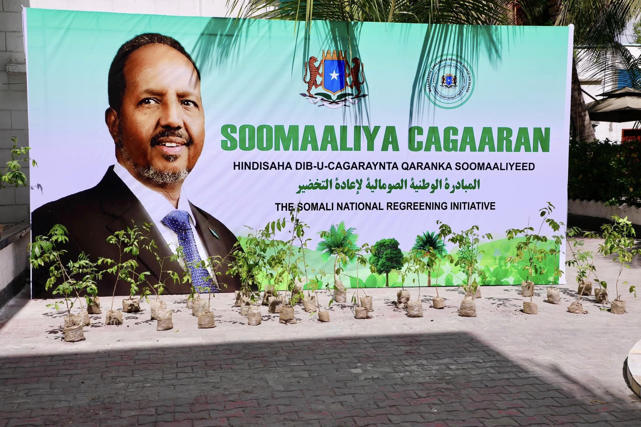 Hassan Hussein Mohamed (@HassanEeley) / Twitter