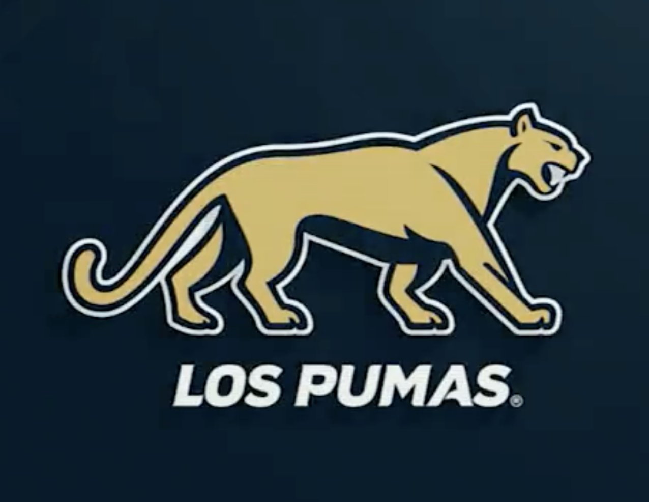 Pumas Rugby Logo