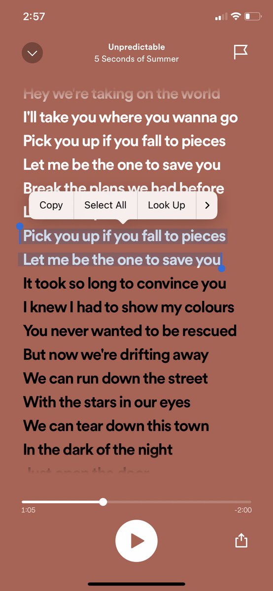 Unpredictable 5sos Album Cover