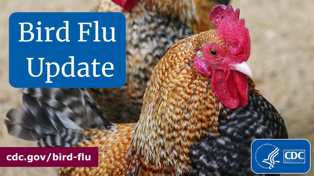 CDC on Twitter: CDC on Twitter: