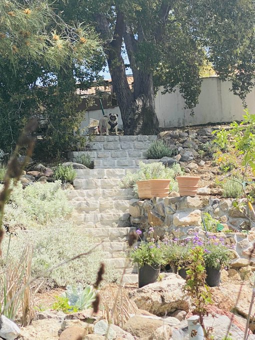 TW Pornstars - Dana Vespoli. Pictures and videos from Twitter. Page 12