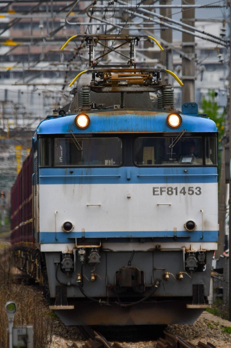 【浜写新】 on Twitter: "4/15 8085レ〜8087レ EF81-453号機 鍋島臨貨ようやくフル積みで撮れました"