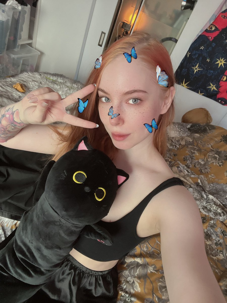 Sexuall_hub on Twitter: "RT @MollyRebbit: Nya 🐱"