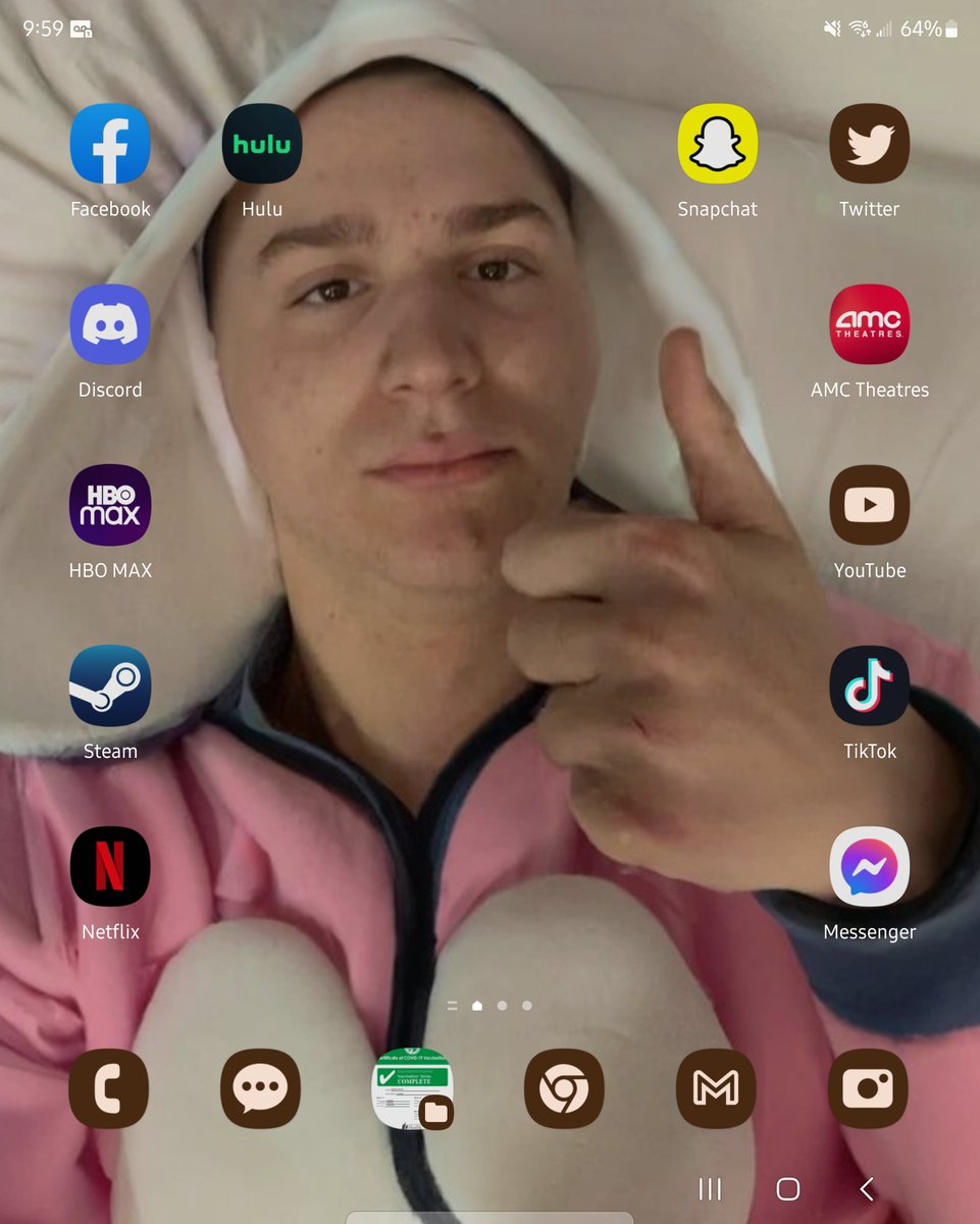 🅱️ernE on Twitter: "dropped my phone today, gave me these dead pixels ...