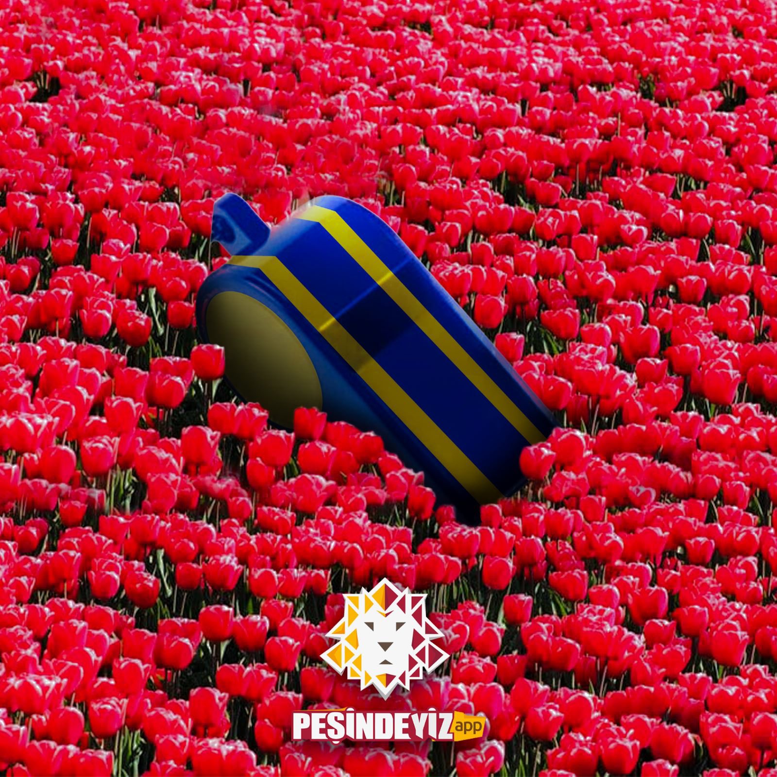 Emphasis And Subordination In Art