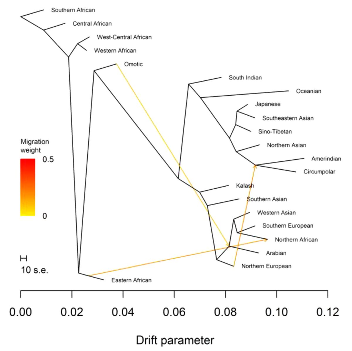 مكون الأوموتيك [Omotic] يعتبر أقرب المكونات الأفريقية إلى الأصول ...