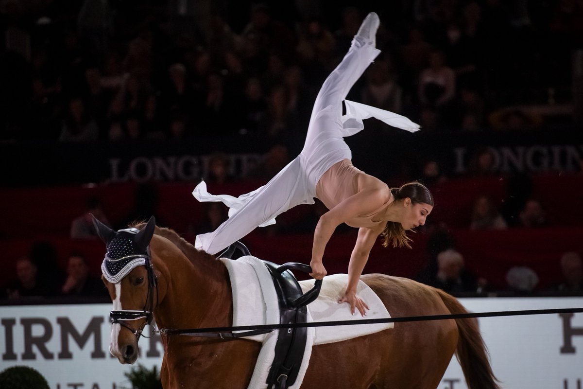 The FEI on Twitter: "Vault Up! 🖐 You're going to want to see this! 😉 Take a look at the ...