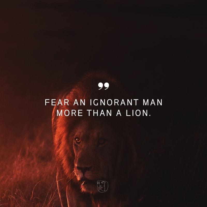 8 Awe-inspiring quotes about life. 1. - Thread from Moic The Stoic ...