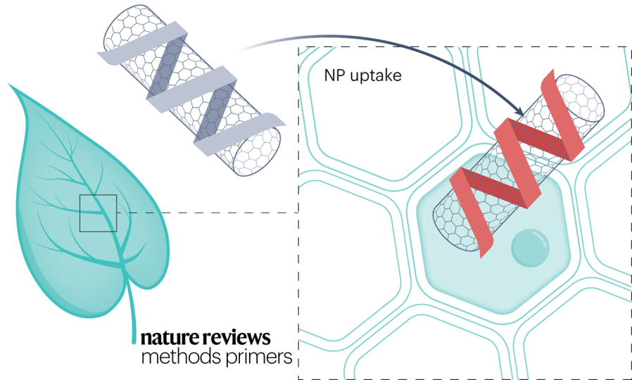 Nature Reviews Methods Primers on Twitter: Nature Reviews Methods Primers on Twitter: