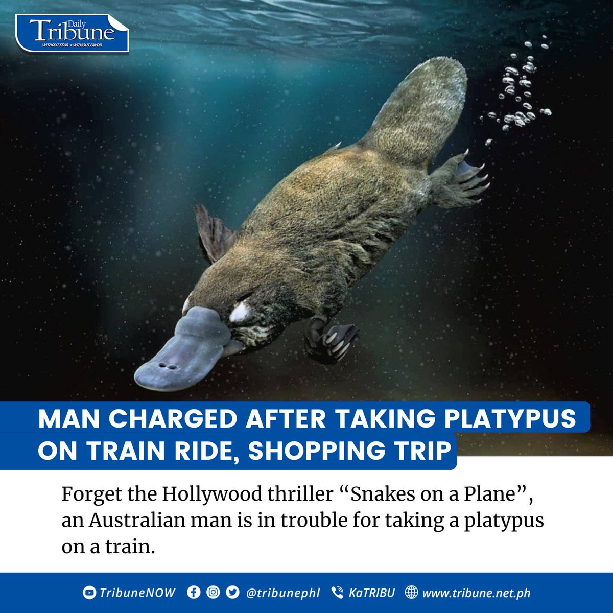 Daily Tribune on Twitter: "Police launched a public appeal after the 26-year-old man ...