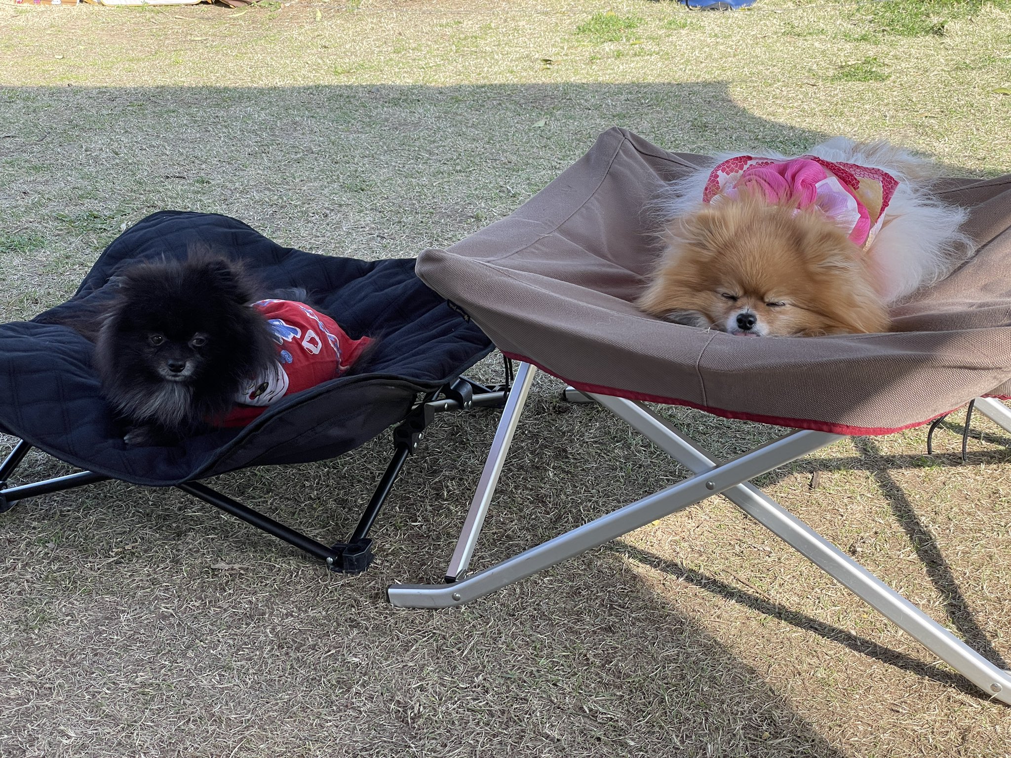 cazual＠アウトドアメディア (@cazual_tv) / Twitter