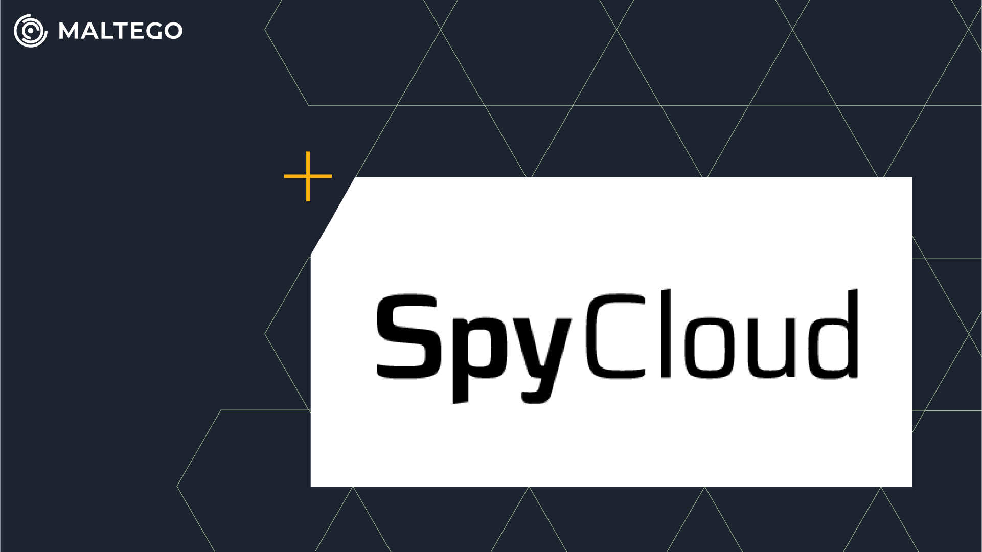 Maltego on Twitter: "+++Transform Update+++ We’re happy to announce that @SpyCloudCo integration ...
