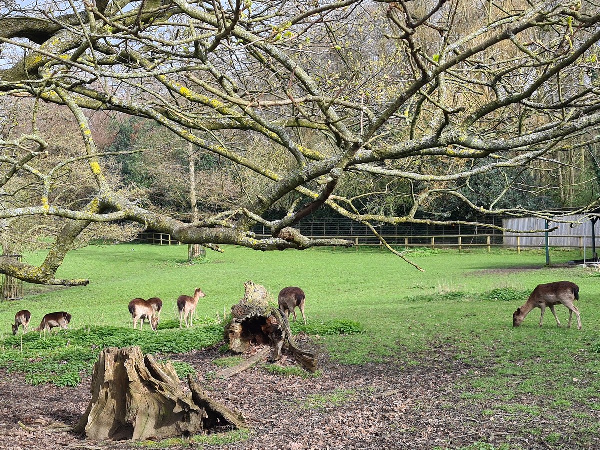 Did you know? – Wildlife on the Heath – The Heath & Hampstead Society