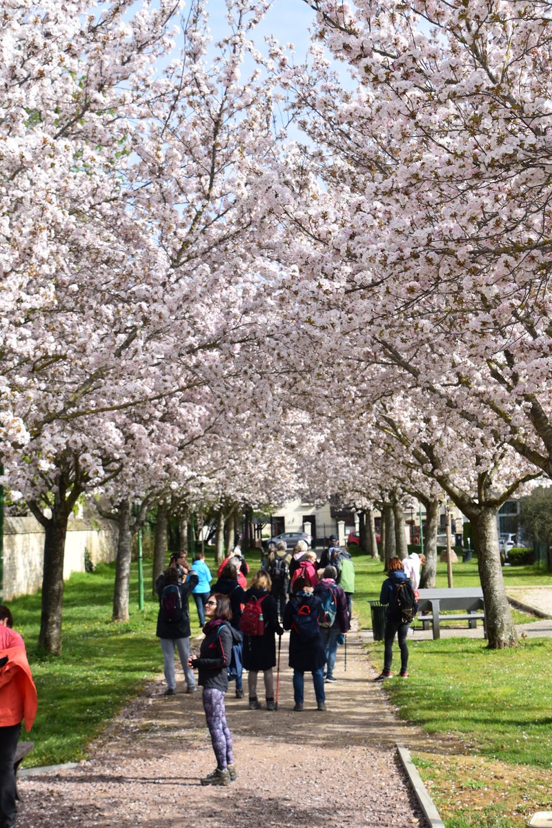 Ville de Caen on Twitter: "💚 La marche découverte du sentier rando-nature Grand-Ouest organisée ...