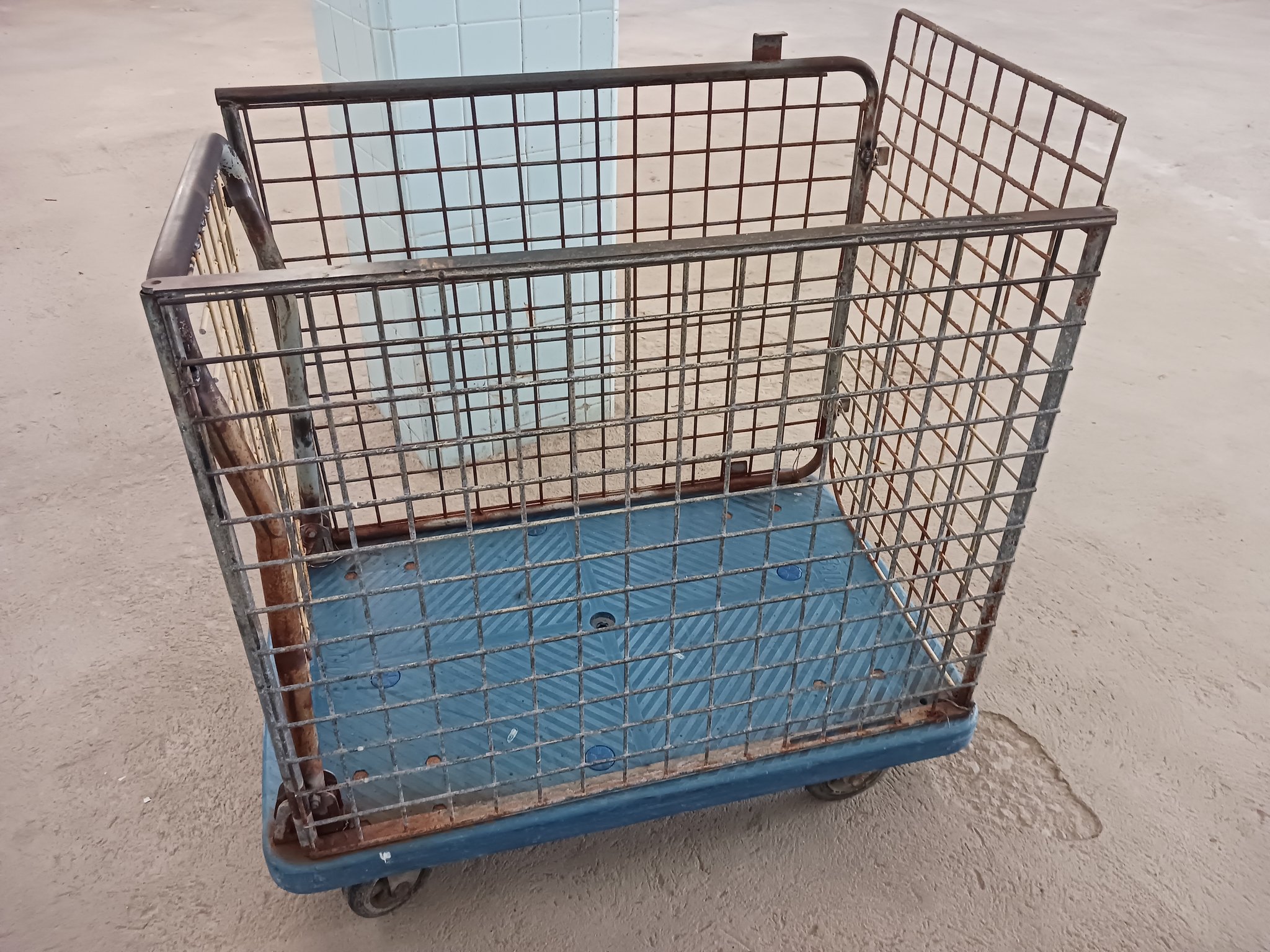 Damaris (@damaalmaguer) / Twitter