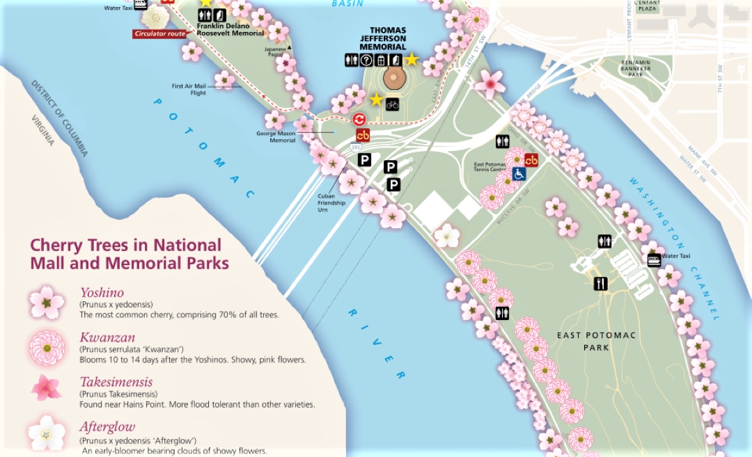 Cherry Blossom Parade Route Map