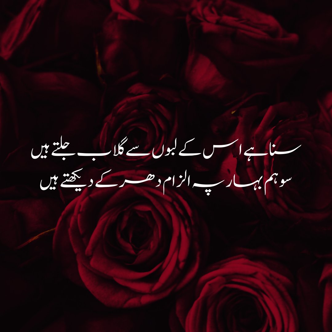 The rose is a recurring motif in Urdu, Persian, and Arabic poetry. A ...