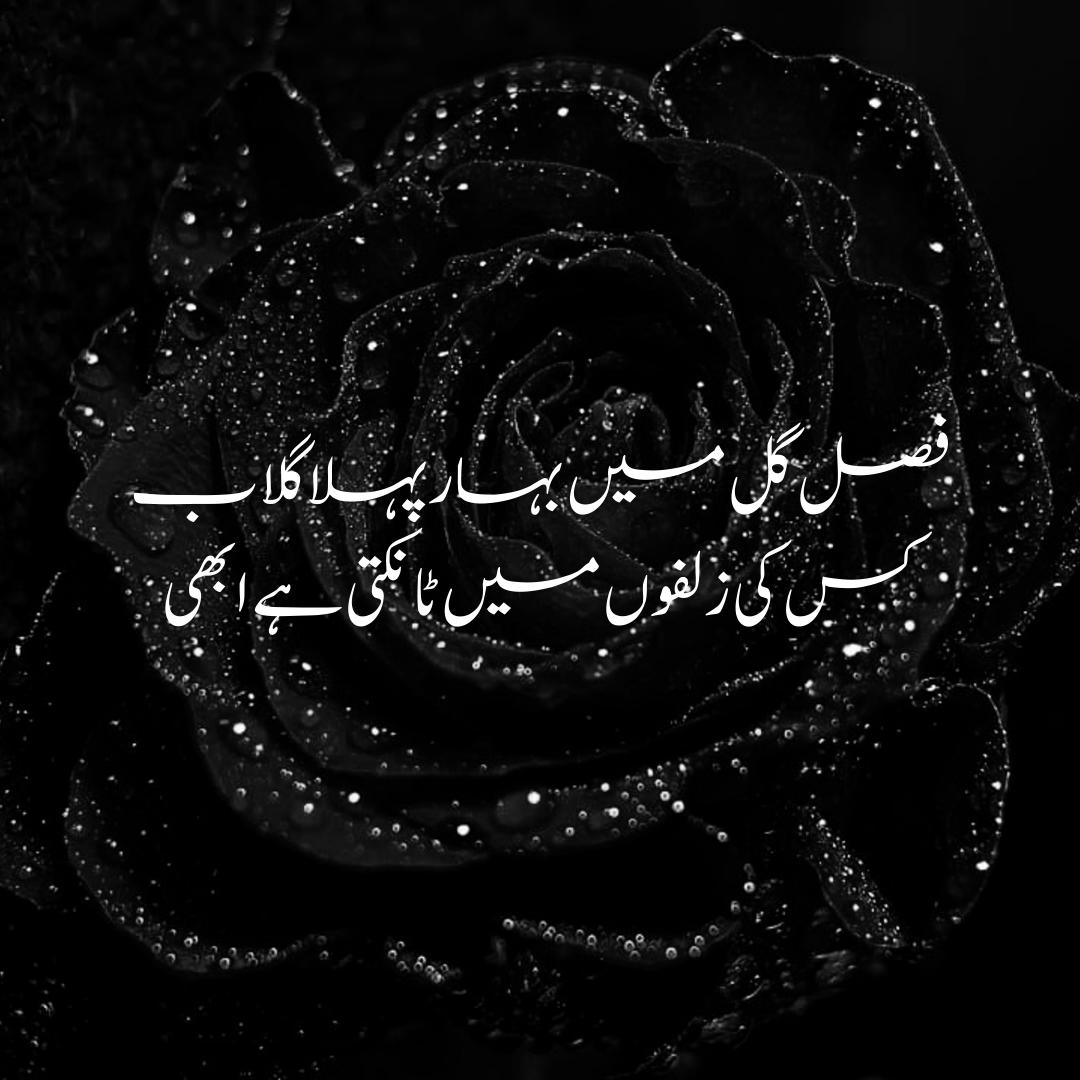 The rose is a recurring motif in Urdu, Persian, and Arabic poetry. A ...