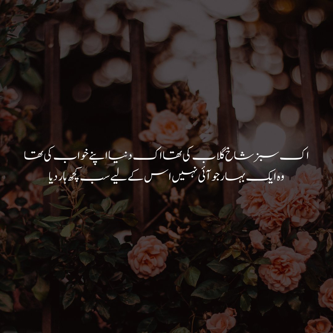 The rose is a recurring motif in Urdu, Persian, and Arabic poetry. A ...