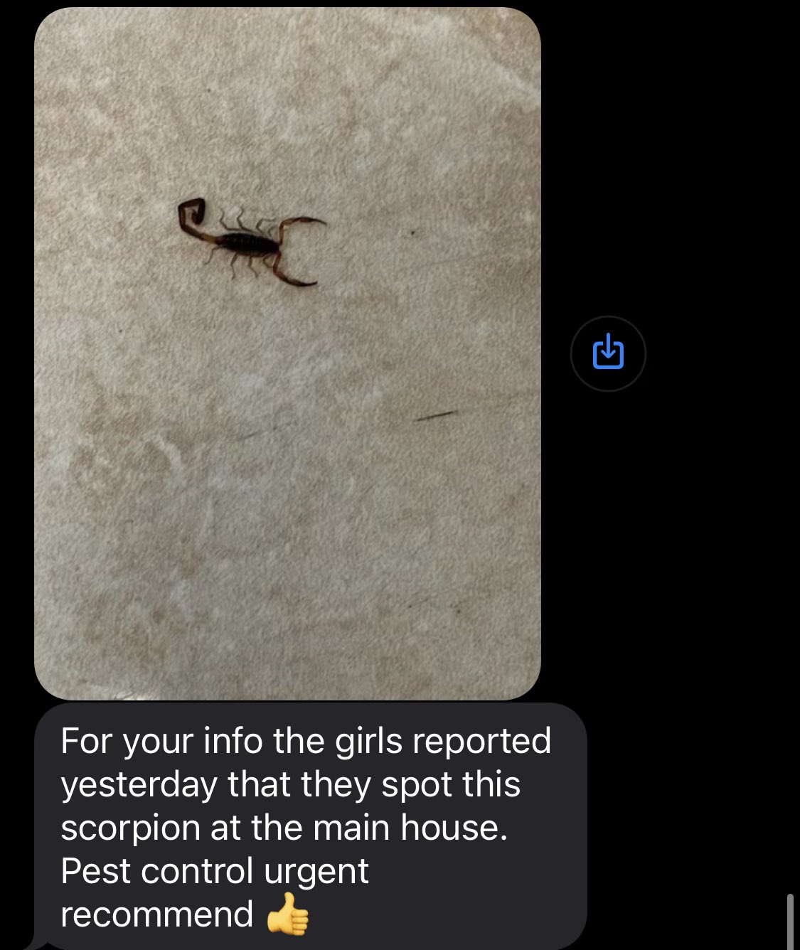 dream on Twitter: "WTF https://t.co/ULVc0BCN0Y" / Twitter