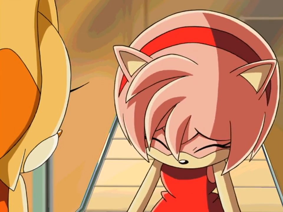 Amy Rose Crying Sonic X