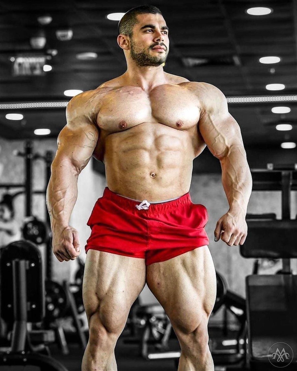 Graham Smith on Twitter: "Sahar Kazes 🇮🇱"