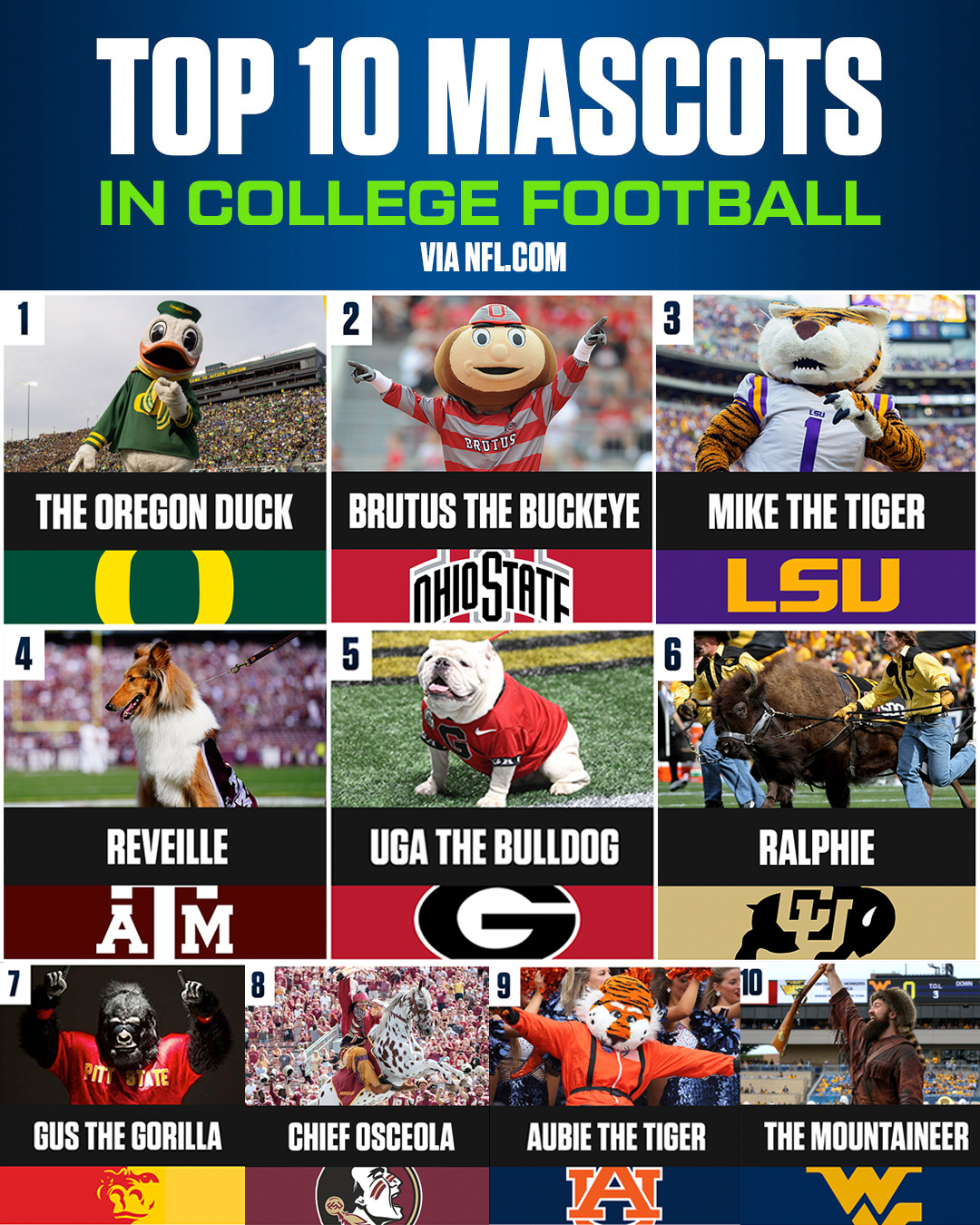Top 10 College Football Mascots
