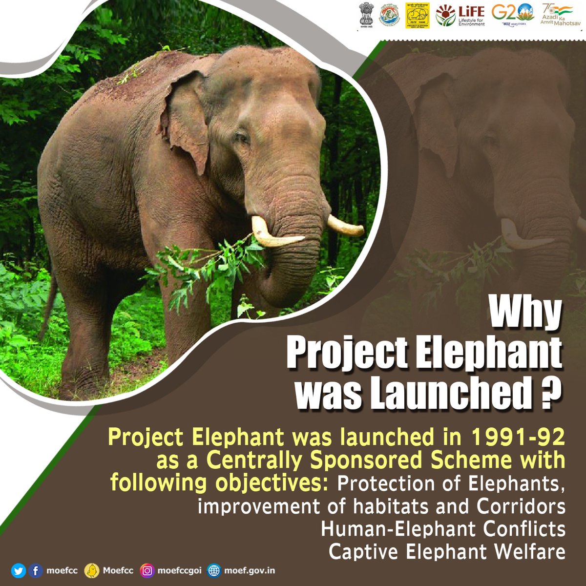 MyGovIndia on Twitter: "Project Elephant was launched in 1991-92 with ...