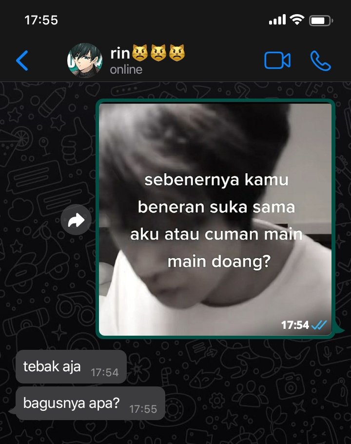 ini nacyn on Twitter: "adore you — itoshi rin x fem!reader few tweets au written by nacyn."