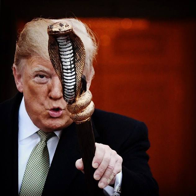 🐍 “You knew damn well I was a snake before you took me in.” -DJT A ...