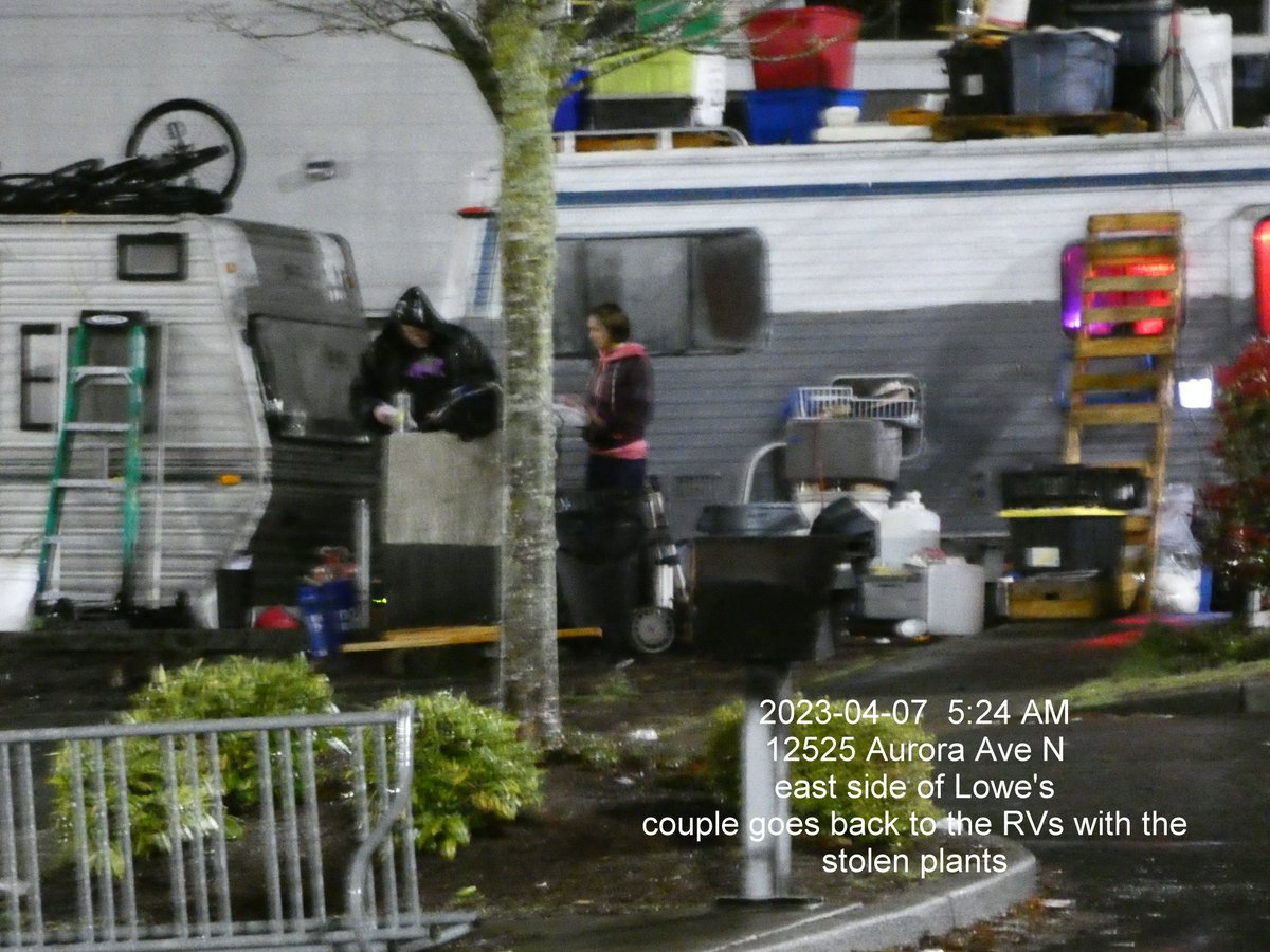 Camp Site Seattle On Twitter Early Morning Activity Lowes In North