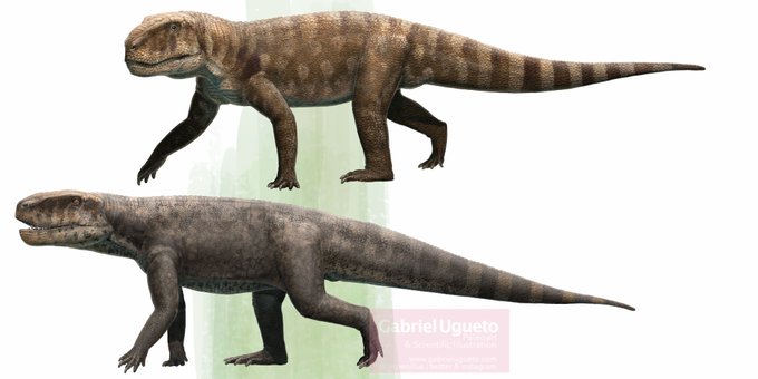 Gabriel N. U. (@SerpenIllus) さんのイラスト・マンガ作品まとめ (1,434 件) - Twoucan