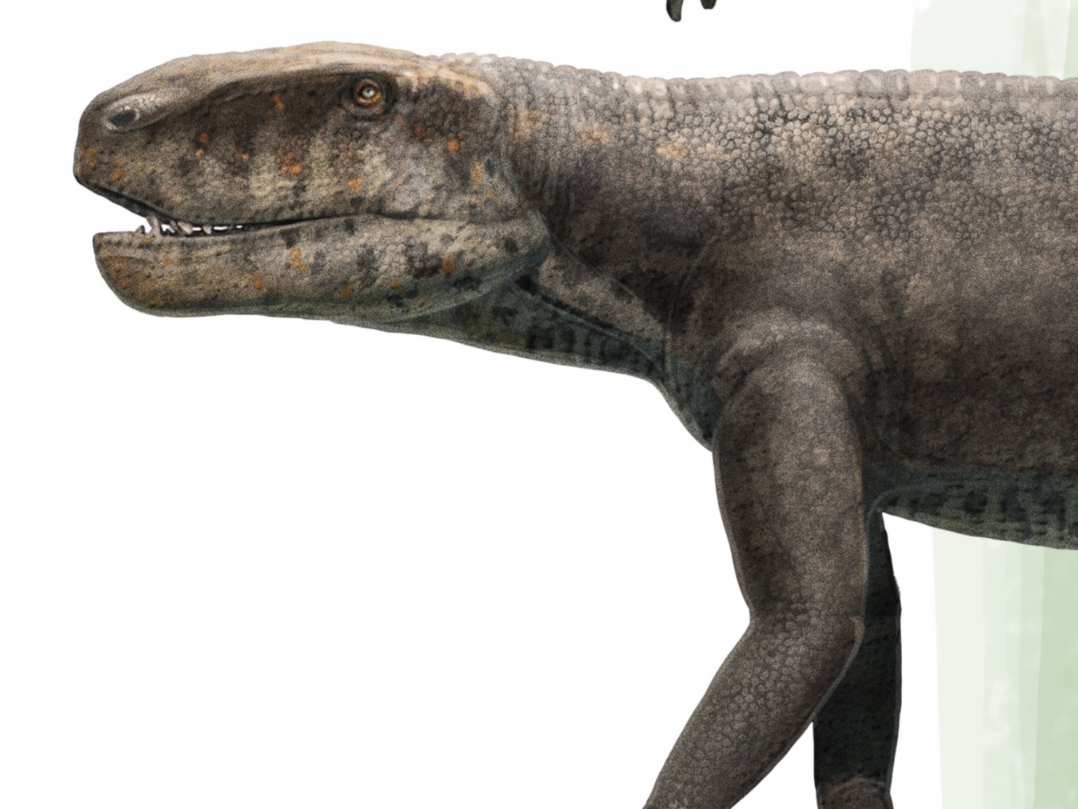 Prestosuchus A Terra Pisada