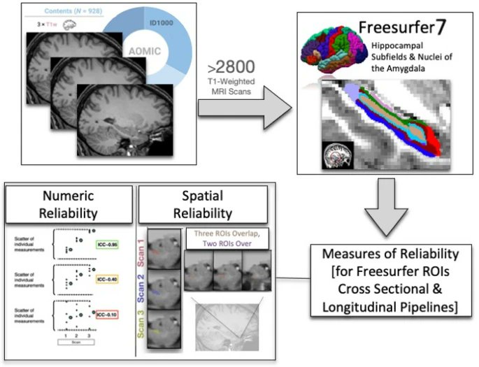 Arabs in Neuroscience (AiN) on Twitter: "RT @IsabellaKahhale: Are you a researcher who looks at ...