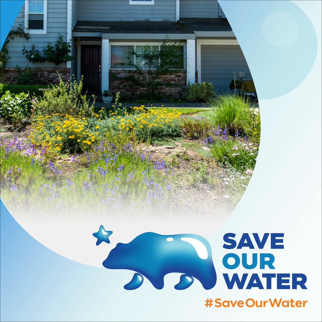 Save Our Water Poster