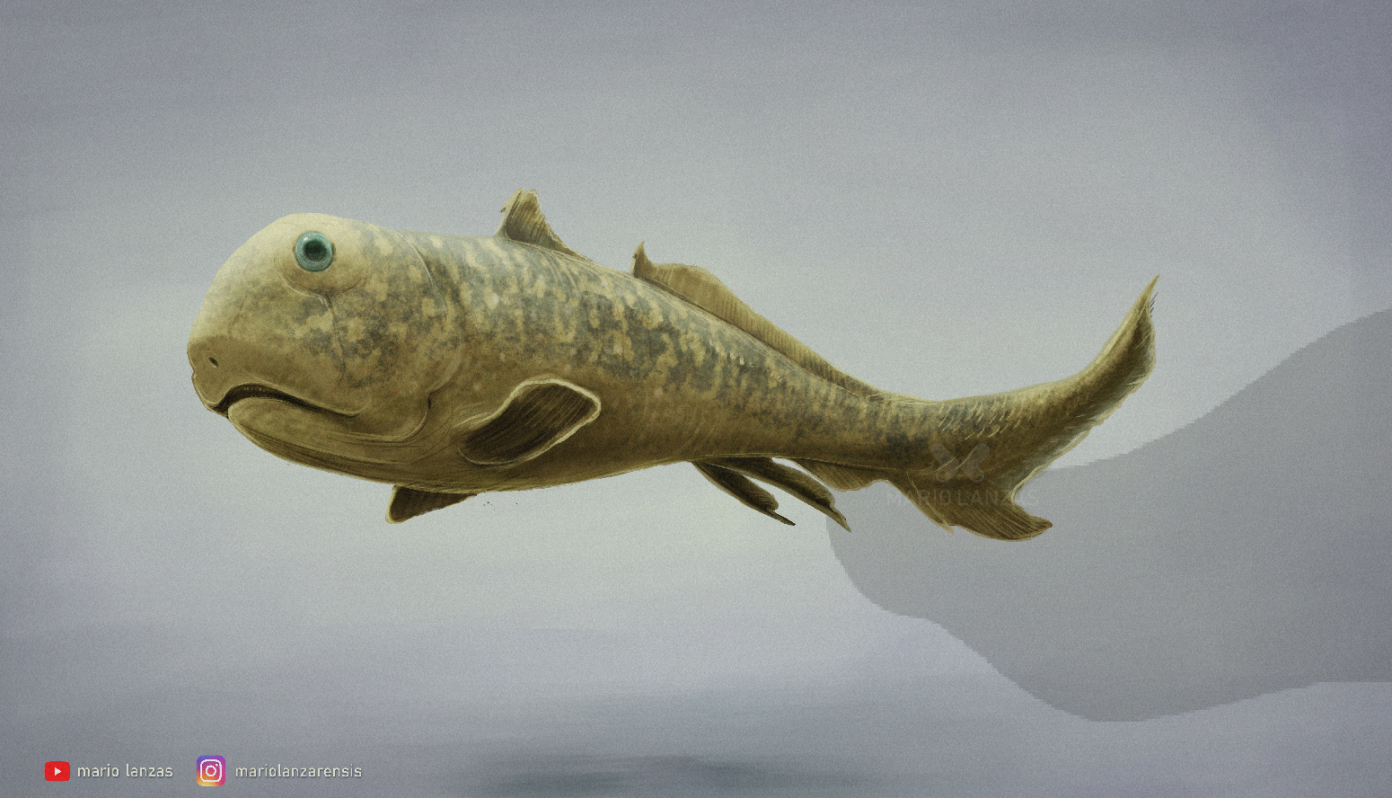 Some species that have never been suggested New species! - Page 13 ...