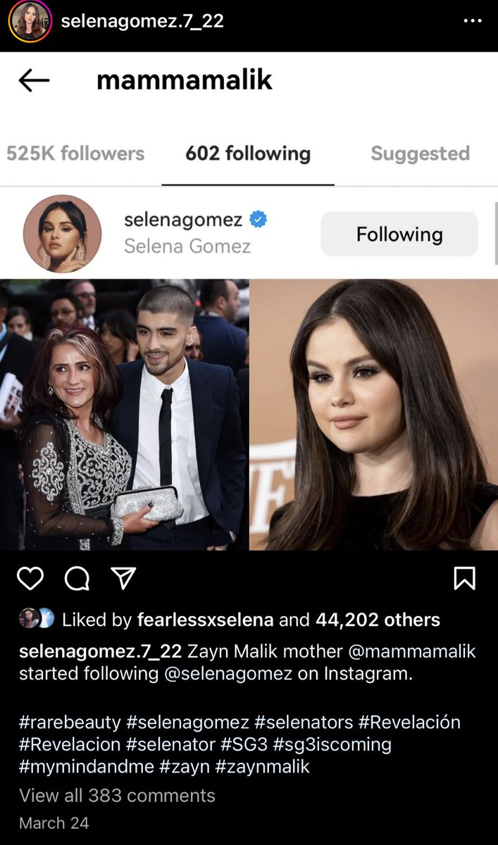 𝐁𝐫𝐞𝐞 on Twitter: "bella and gigi are so REAL"