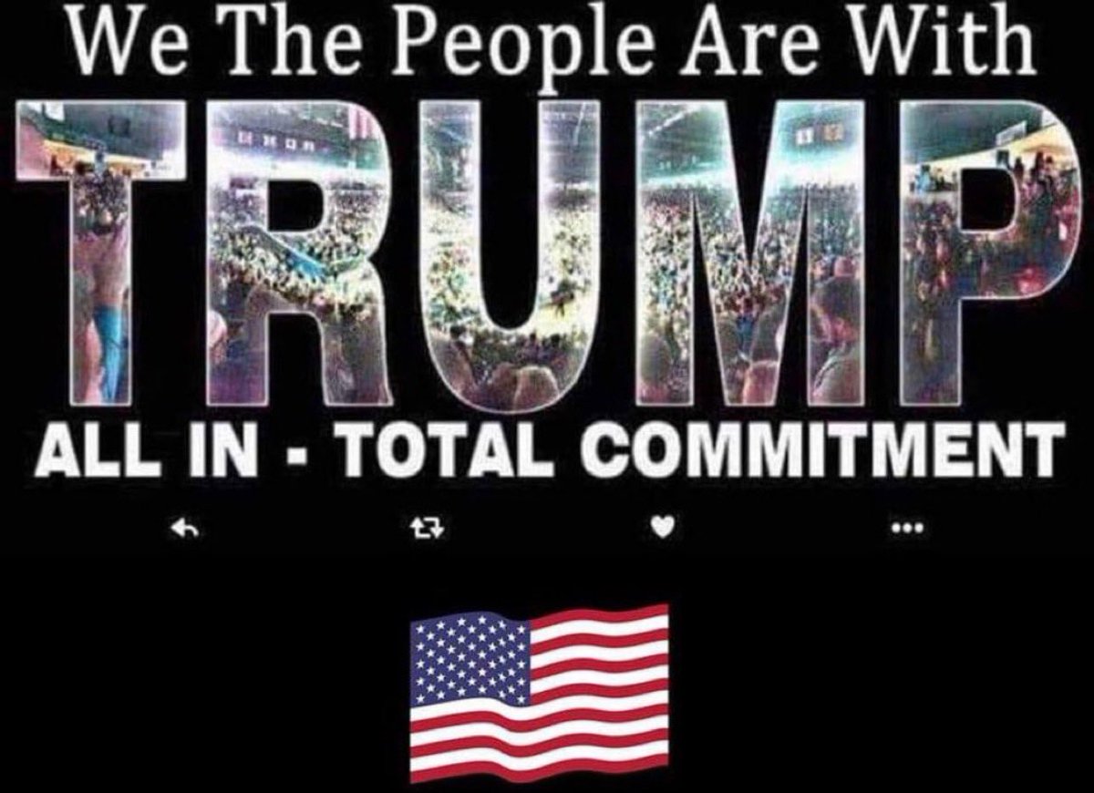 Trump Always Win On Twitter