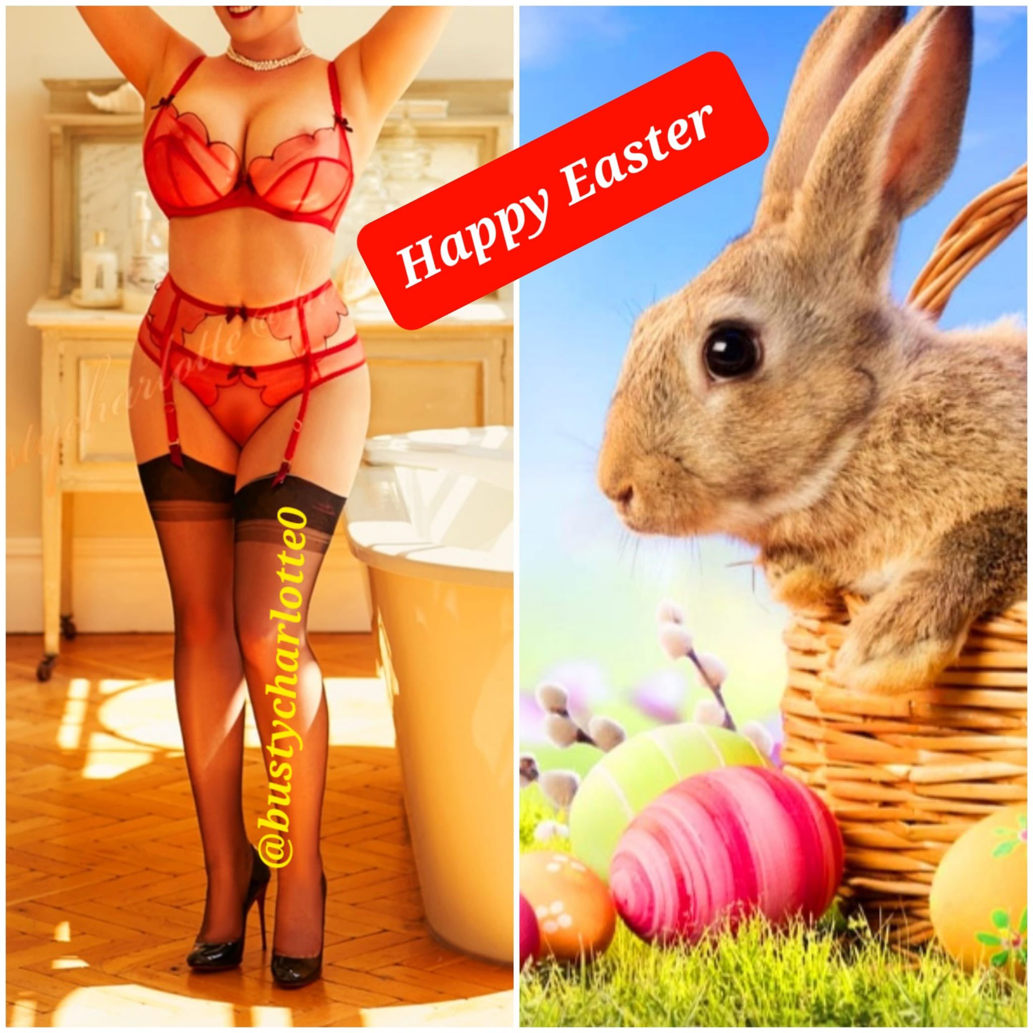 Busty Charlotte on Twitter: "Happy Easter 🐣 https://t.co/6Kc7y1nF30" / Twitter