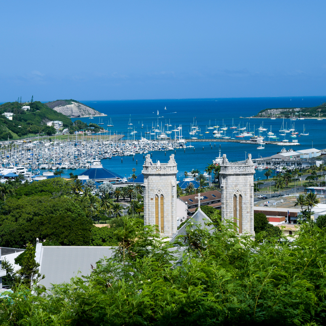 ニューカレドニア観光局公式アカウント on Twitter: "🌴ニューカレドニアでの1日の過ごし方〜②午前〜🌴 ヌメアなら、モーゼル市場や街でお買い物などいかが？ 海沿いの道をお散歩したり ...